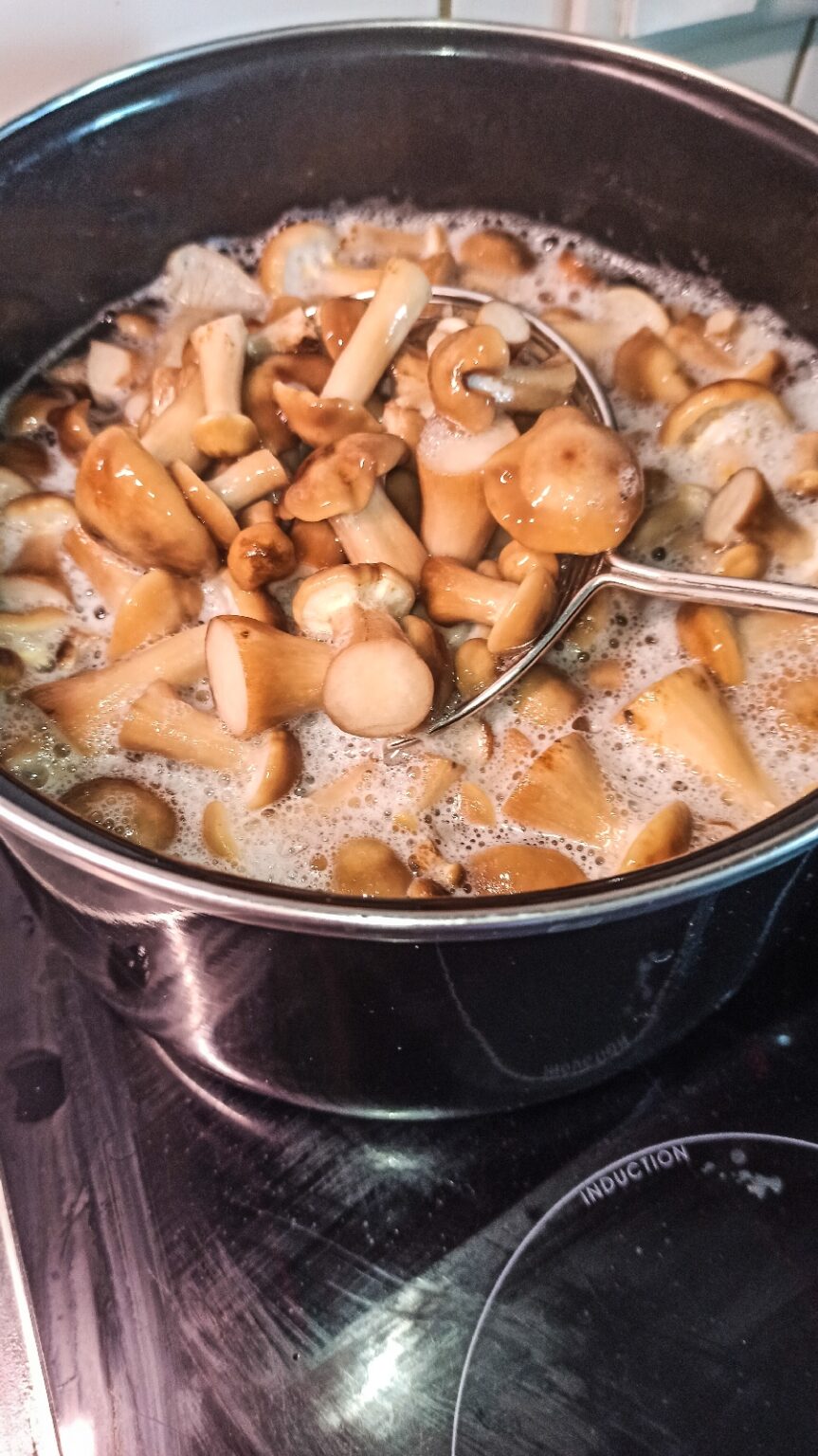 Faszinierend Pilze Im Glas Zubereiten Ebenbild